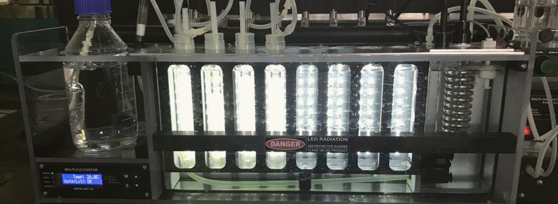 Chemical Engineering Group | The Department of Chemical Engineering