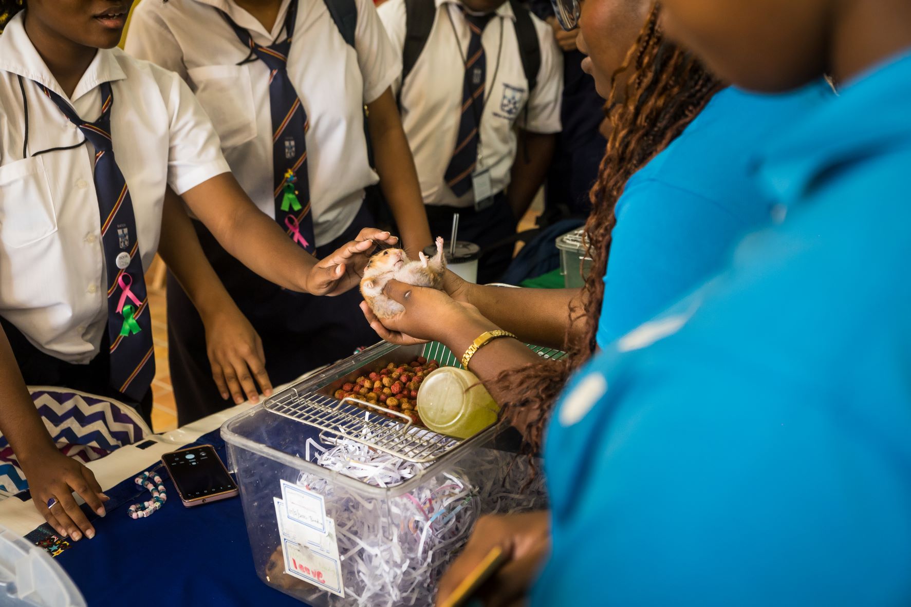 Student Innovators Shine at SciFest