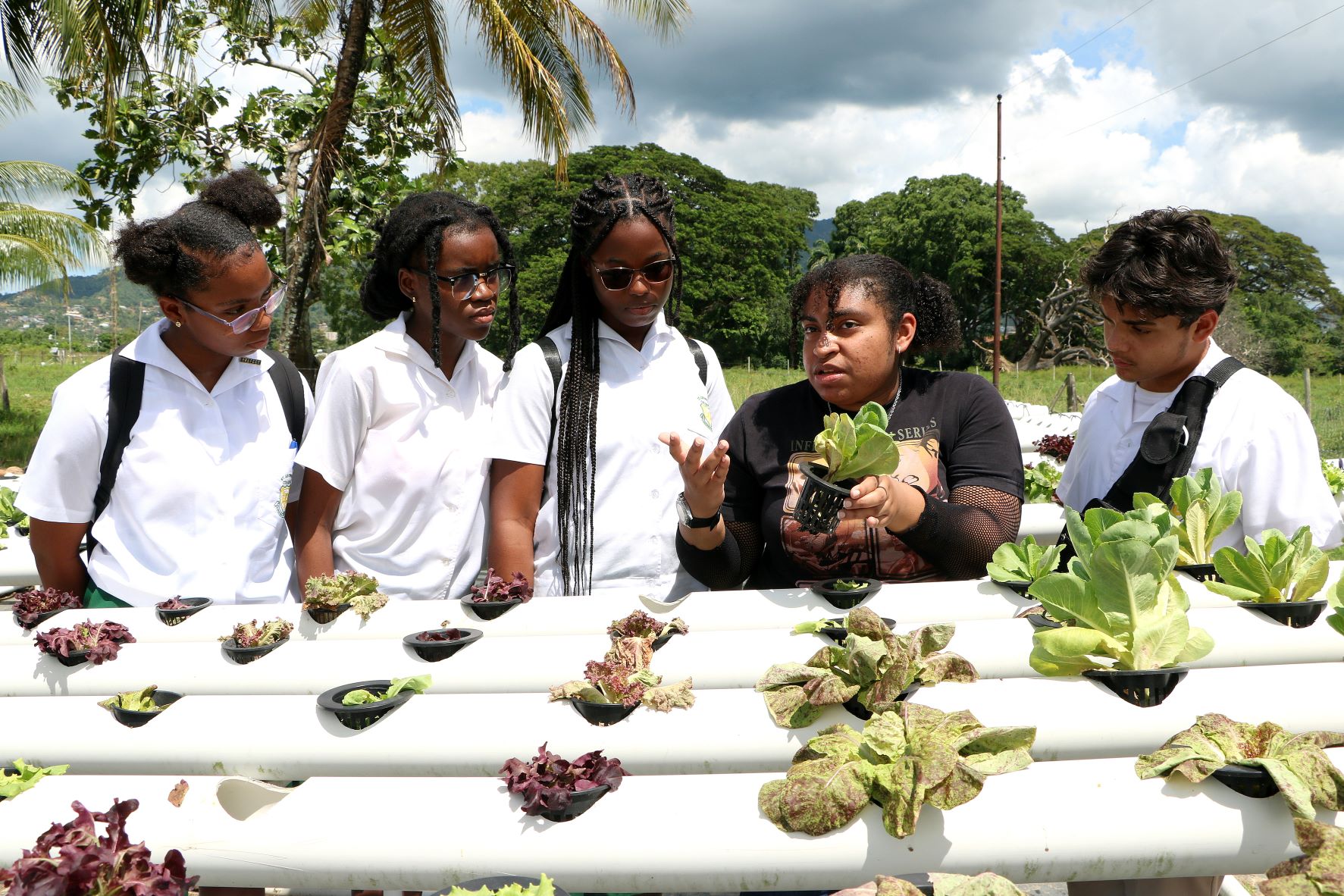 UWI Exhibits Advanced Hydroponics and Aquaponics Innovations on World ...